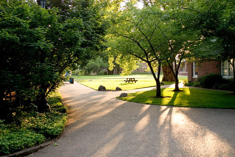 Check Out The Best 15 of US Ranking Colleges in Big Cities