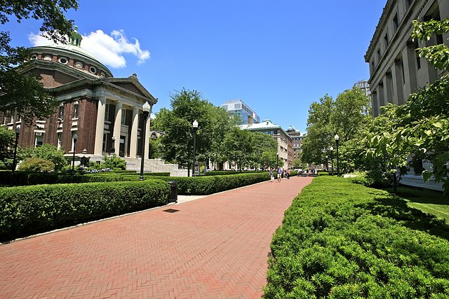 Hardest School to Get into in the World: Top 14 List
