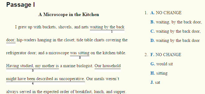 ACT Format, Timing, Topics, & Scoring: A Comprehensive Guide