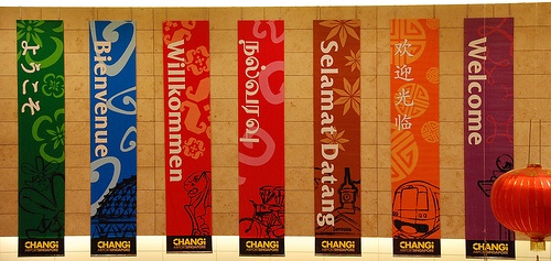 8 Ways to Choose a Language to Learn - College Raptor