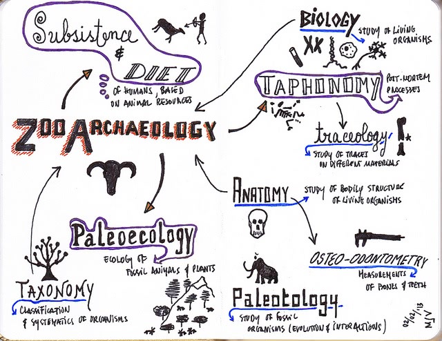 How to Study if You're a Visual Learner - College Raptor