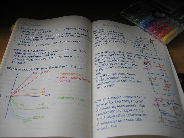 How to Study if You're a Visual Learner - College Raptor