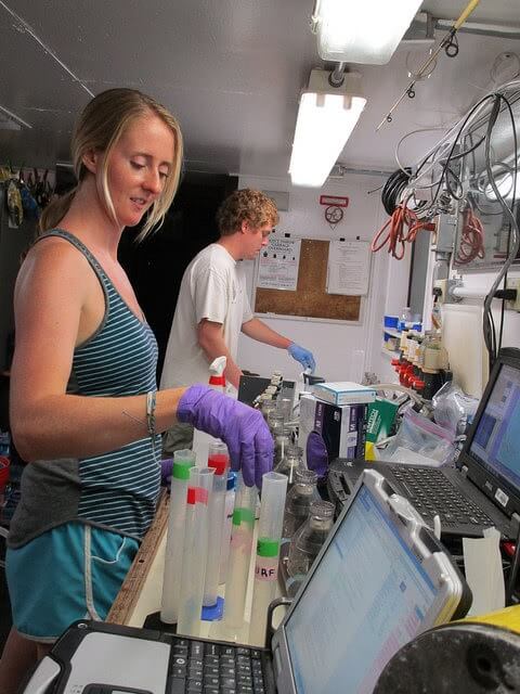 So You Want to be a Research Assistant? - College Raptor