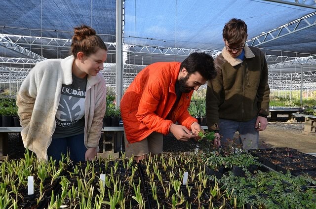 How to Find Relevant Internships in Your Field of Study