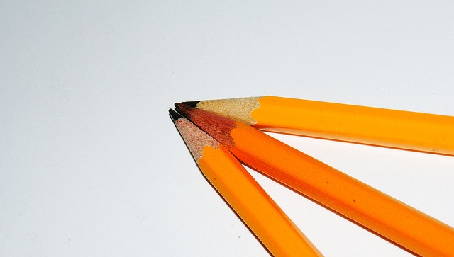 Why Take the PSAT and PreACT? - College Raptor BlogCollege Raptor