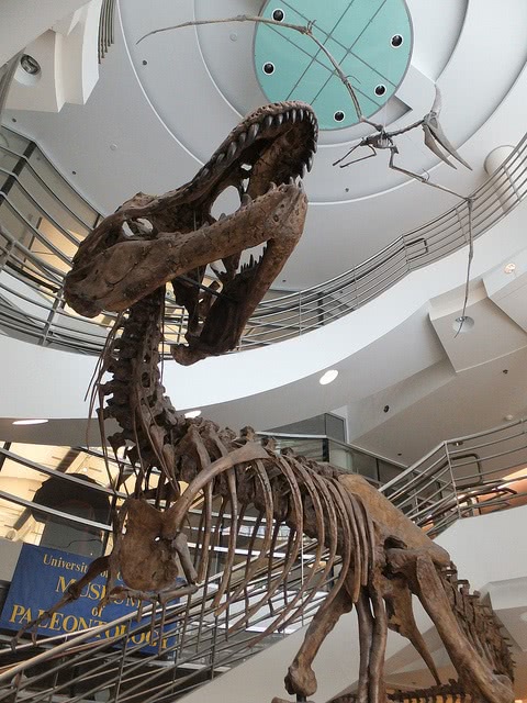 The Best Colleges for Paleontology - College Raptor
