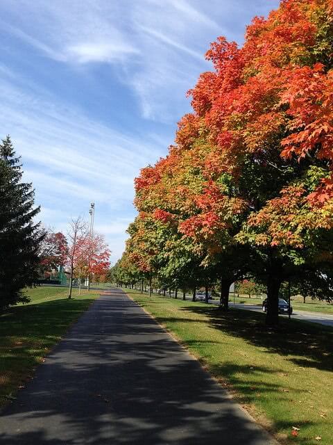 5 Colleges with Thanksgiving Traditions - College Raptor