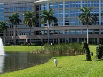 Colleges With the Coolest Pools & Swimming Facilities