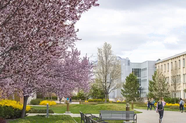2019 Top 10 Colleges with Tuition Under $20,000 | College Raptor