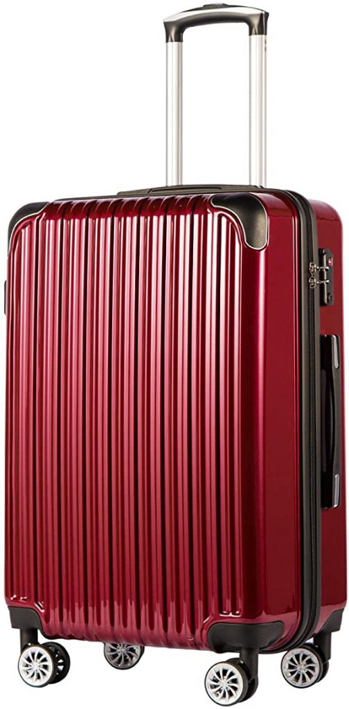 The 5 Best Luggage for College Students | College Raptor