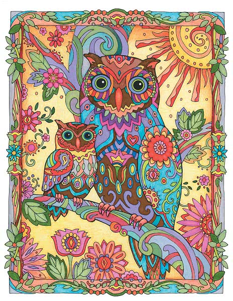 Check Out Some Cool Coloring Books For A College Students