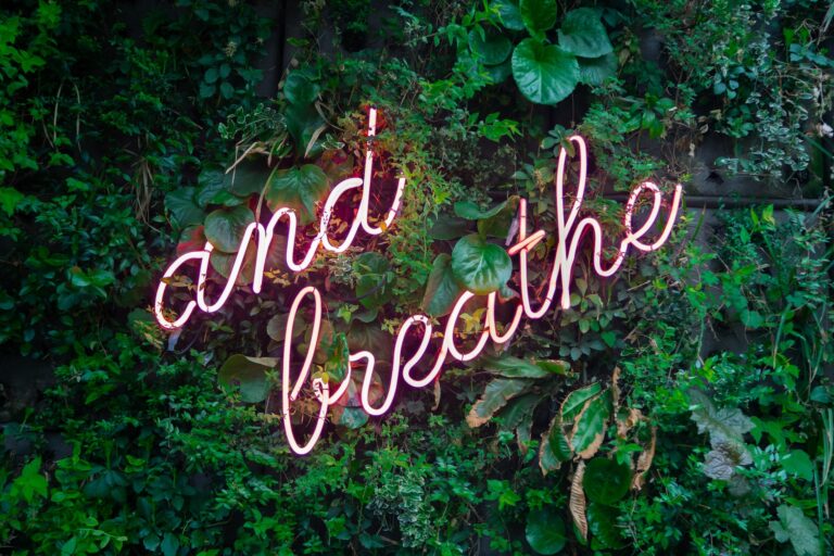 5 Self Care Ideas For College Students College Raptor BlogCollege Raptor 5 Self Care Ideas For College Students College Raptor BlogCollege Raptor